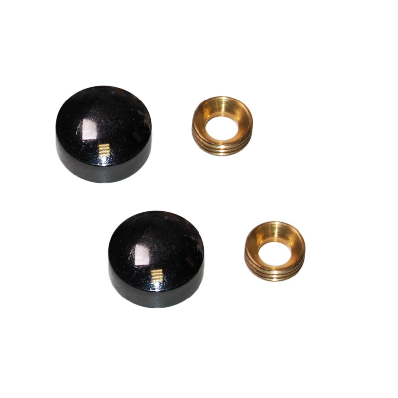 Cache vis Inox pour spa X 2