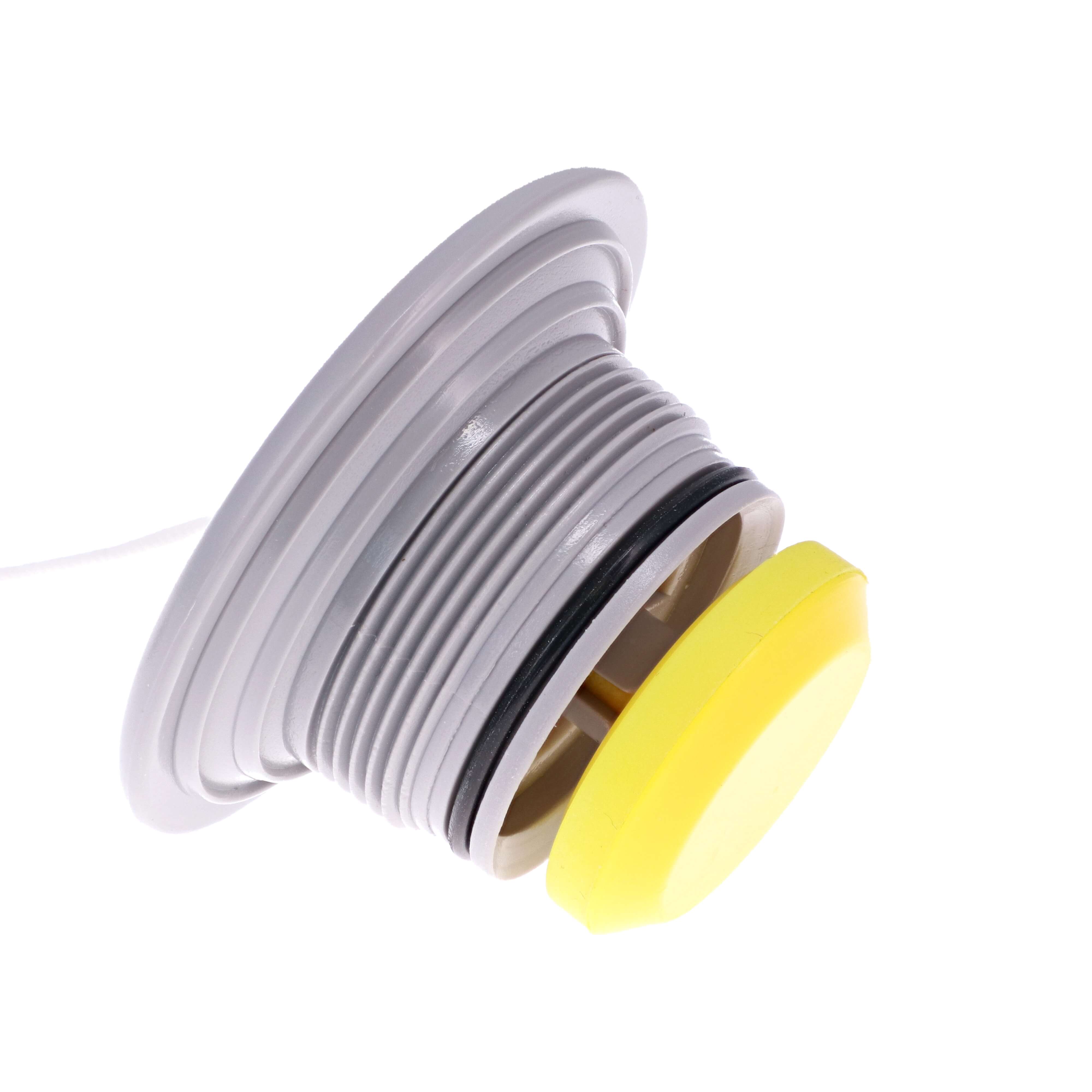 SS19-22 MONO inflation valve with threaded cap (AMN)