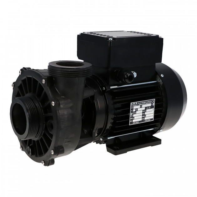 Waterway Hi Flo Dual Speed Spa Pump