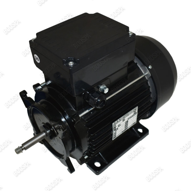 Motors for 56 Frame spa pumps 2-speeds 3.0 HP